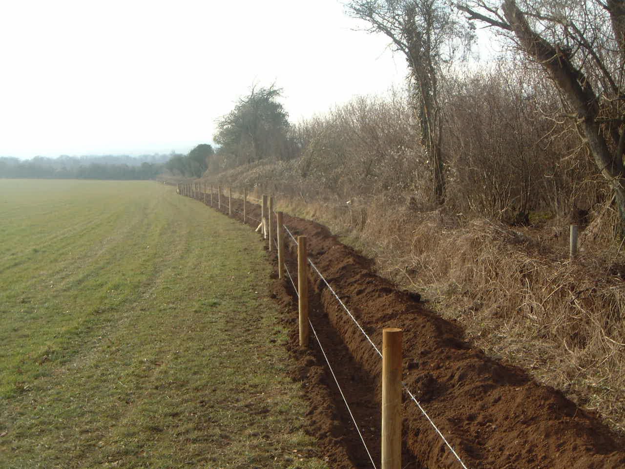 Rabbit Fencing – Kiwi Fencing Ltd