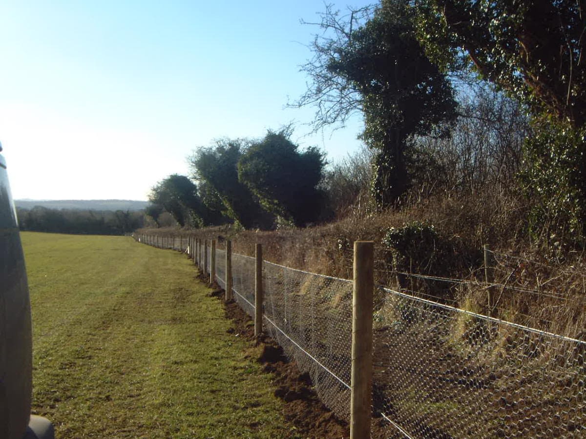 Rabbit Fencing – Kiwi Fencing Ltd